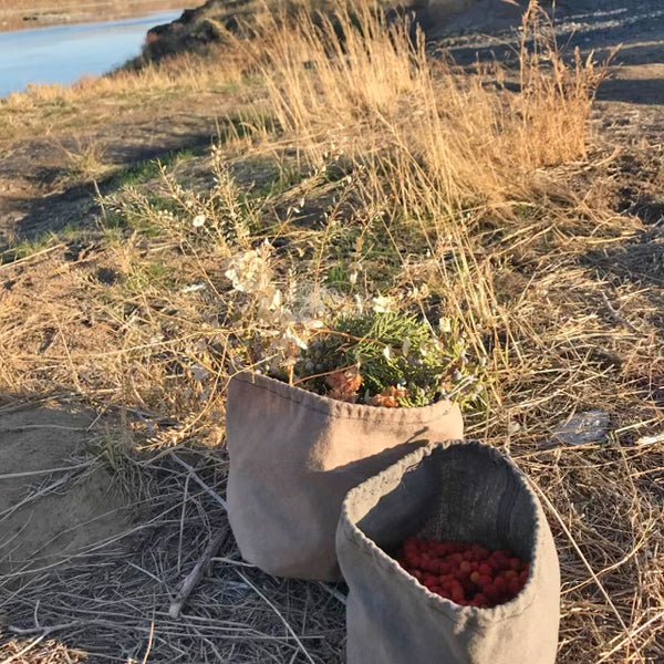foraging buckets – kata golda handmade